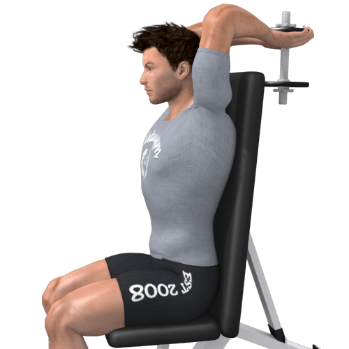 Dumbbells Triceps Extension Seated Video Exercise Guide