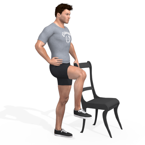 Hip Flexion Knee Up Video Exercise Guide