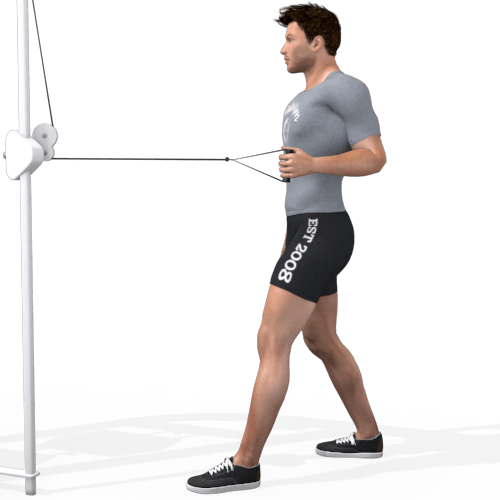 Pulley Horizontal Row Video Exercise Guide