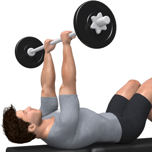 Barbell Triceps Extension Lying Video Exercise Guide