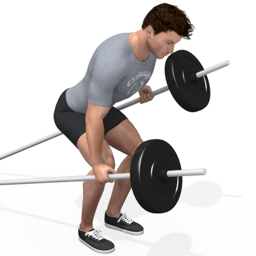 Landmine Row (alternating) Video Exercise Guide
