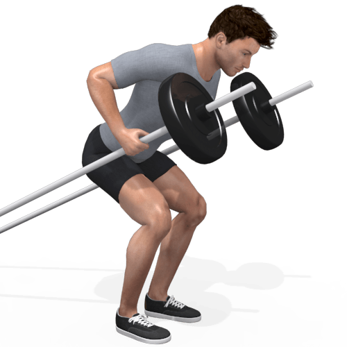 Landmine Row Video Exercise Guide