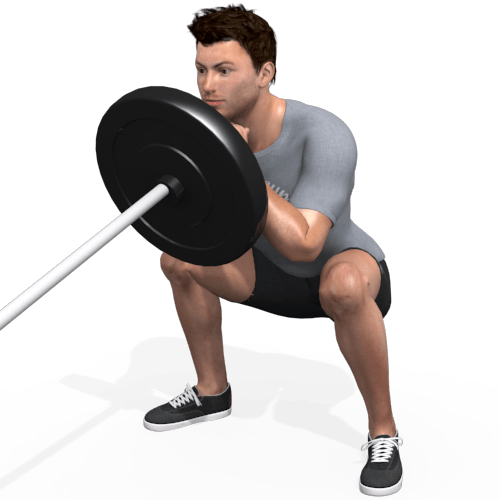 Landmine Sumo Squat Rack Position Video Exercise Guide