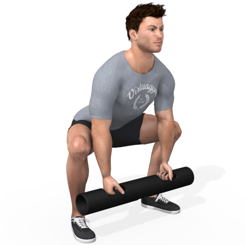 Vipr Sumo Squat Full Swing Video Exercise Guide
