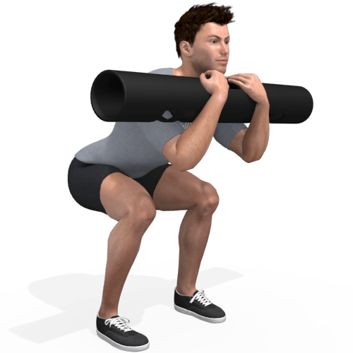 Vipr Squat Step Video Exercise Guide