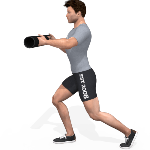 Vipr Chest Punch (alternating) Video Exercise Guide