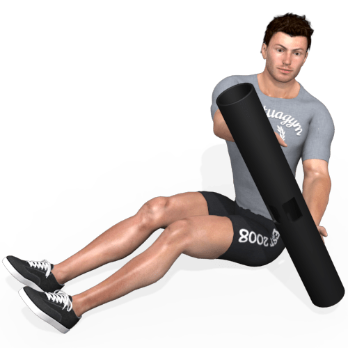 Vipr Russian Twist Arms Extended Video Exercise Guide