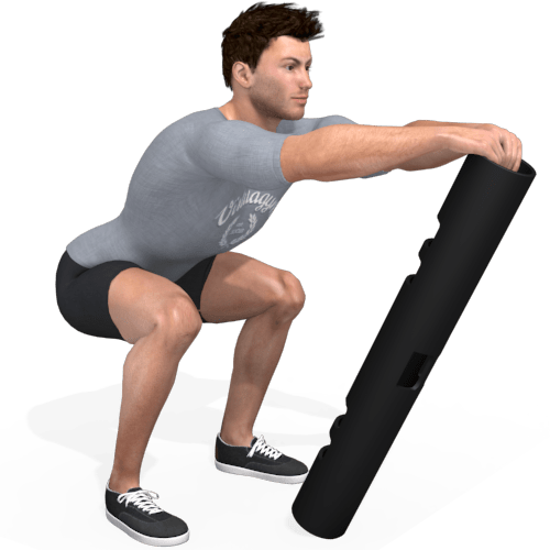 Vipr Squat Forward Tilt Video Exercise Guide