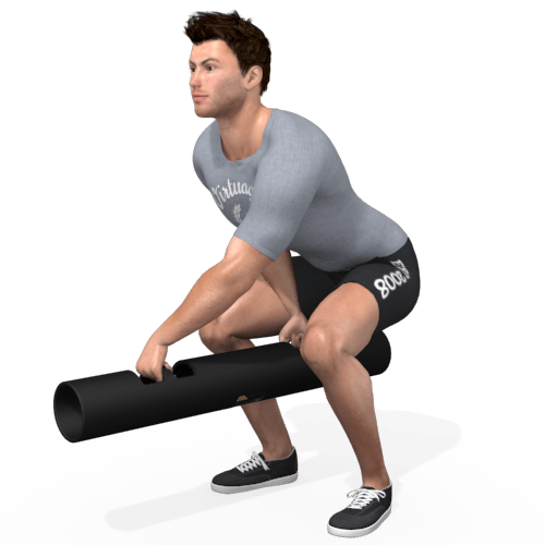 Vipr Squat Between Legs Video Exercise Guide