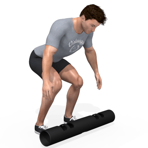 Vipr Slam Video Exercise Guide