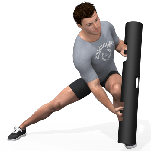 Vipr Lateral Lunge Reach (alternating) Video Exercise Guide