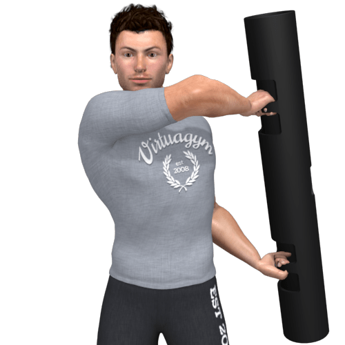 Vipr Reverse Kayak Video Exercise Guide