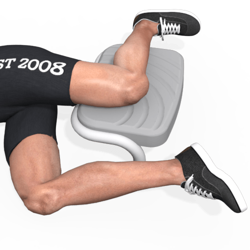 Aerobic Step Oyster Exorotation Video Exercise Guide