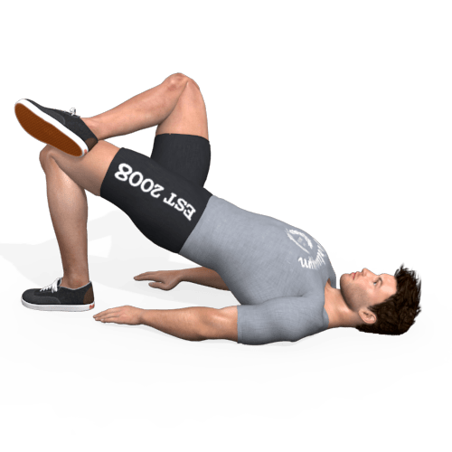 Single Leg Hip Bridge Foot On Knee Video Exercise Guide