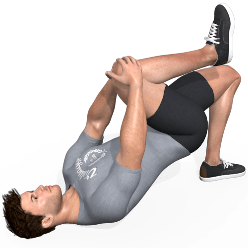 Single Leg Hip Bridge Fixed Knee Video Exercise Guide