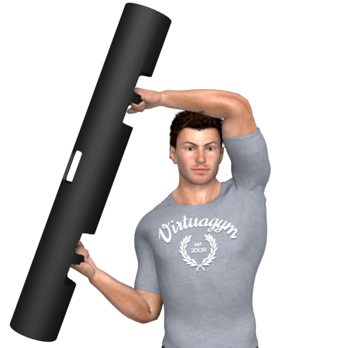 Vipr Shoulder Shake (alternating) Video Exercise Guide