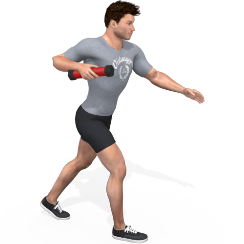 Single Arm Row Video Exercise Guide