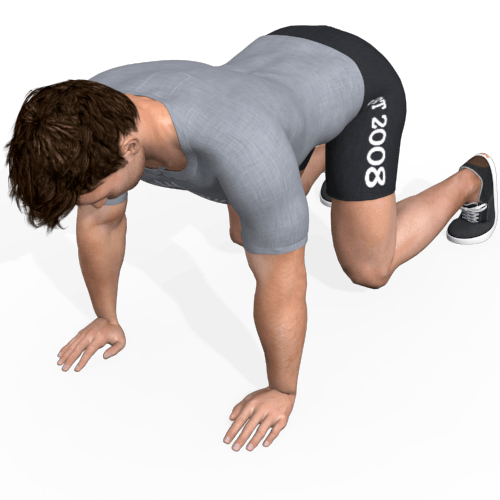 HF-stance Video Exercise Guide