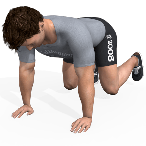 Foot-lift HF-stance (alternating) Video Exercise Guide