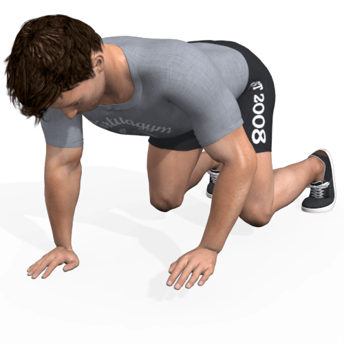 Hand-lift HF-stance Video Exercise Guide