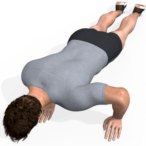 Lateral Push-up Knees (alternating) Video Exercise Guide