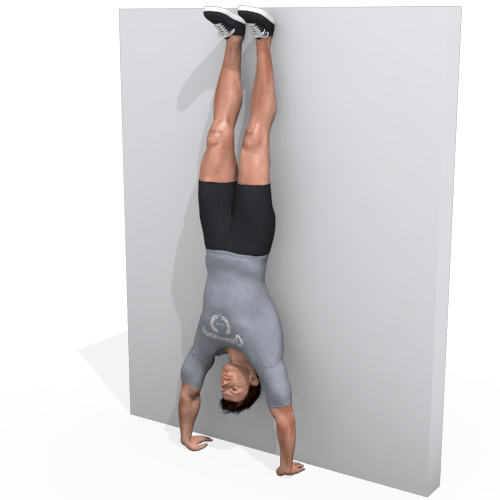 Wall Handstand Against Wall Video Exercise Guide