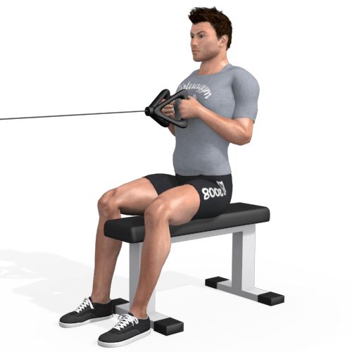 Pulley Horizontal Row Feet Down Seated Video Exercise Guide