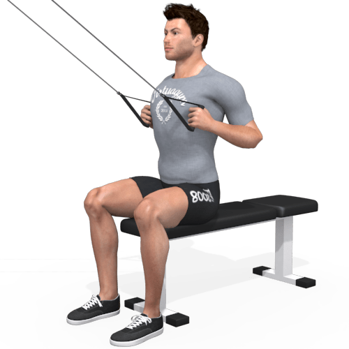 Pulley Row Narrow Video Exercise Guide