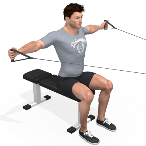 Pulley Reverse Fly Sit Video Exercise Guide