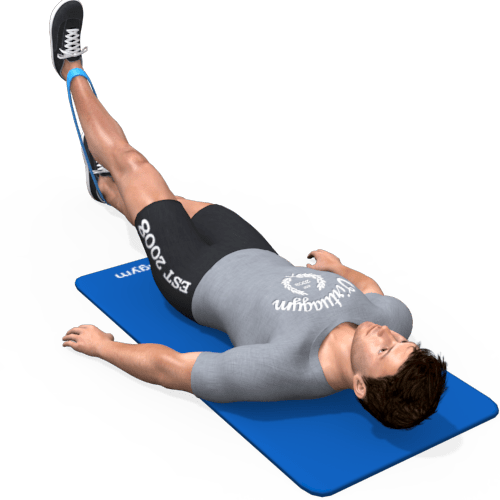 Elastics Straight Leg Raise (alternating) Video Exercise Guide
