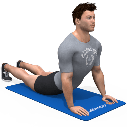 Full Back Raise Video Exercise Guide