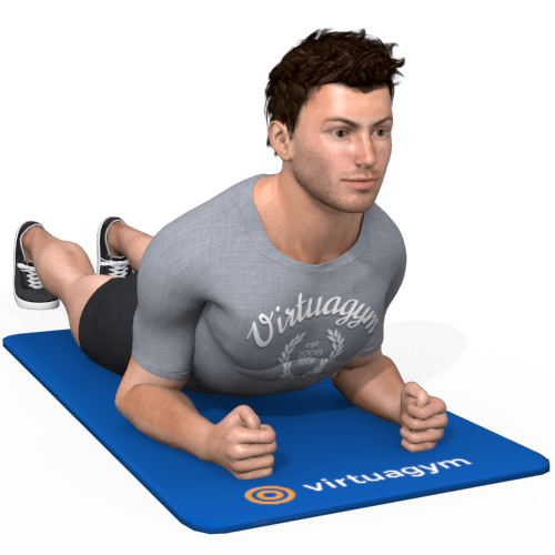 Back Raise Hands On Ground Video Exercise Guide