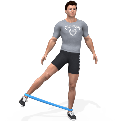 Resistance Band Hip Abduction Standing Video Exercise Guide