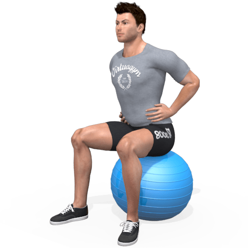 Exercise Ball Pelvic Rotation Video Exercise Guide