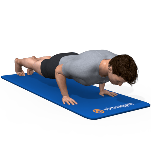 Four-Limbed Staff Pose Video Exercise Guide