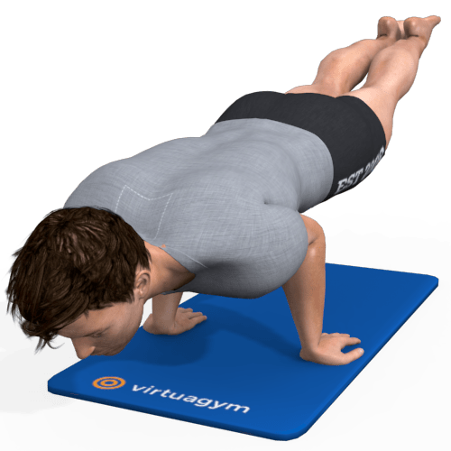 Peacock Pose Video Exercise Guide