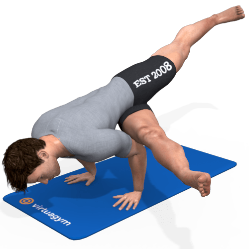 Sage Koundinya Pose Video Exercise Guide