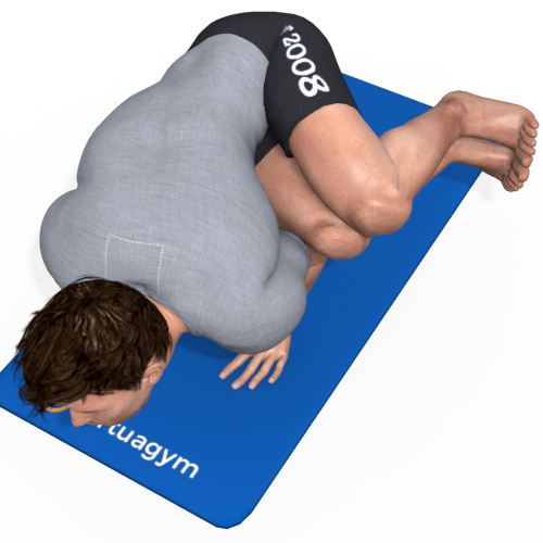 Side Crane Pose Video Exercise Guide