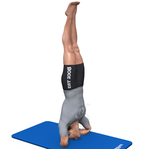 Supported Headstand Video Exercise Guide