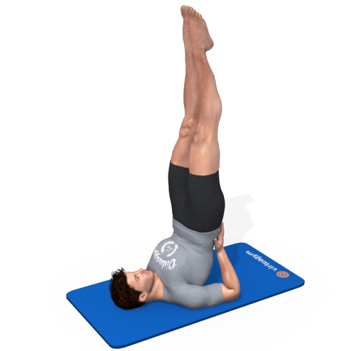 Supported Shoulderstand Video Exercise Guide