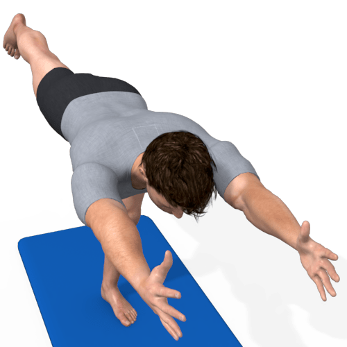 Wheelbarrow Video Exercise Guide