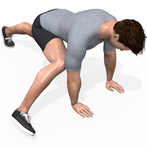 Mountain Climber Legs Extended (alternating) Video Exercise Guide