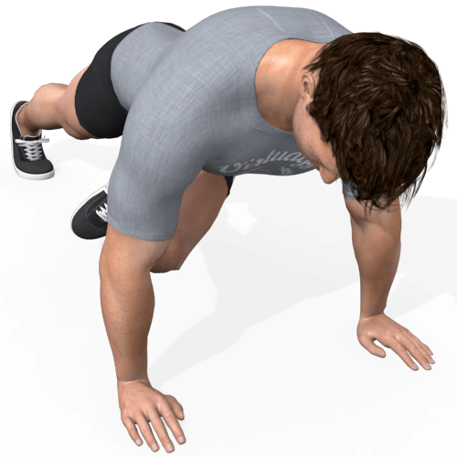 Mountain Climbers Rotated (alternating) Video Exercise Guide