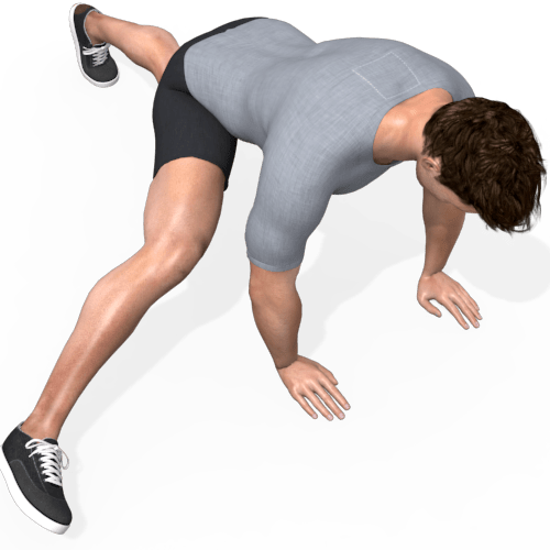 Plank Leg Reaches (alternating) Video Exercise Guide