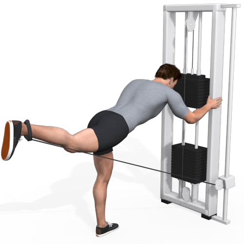 Pulley Glute Kickback Video Exercise Guide