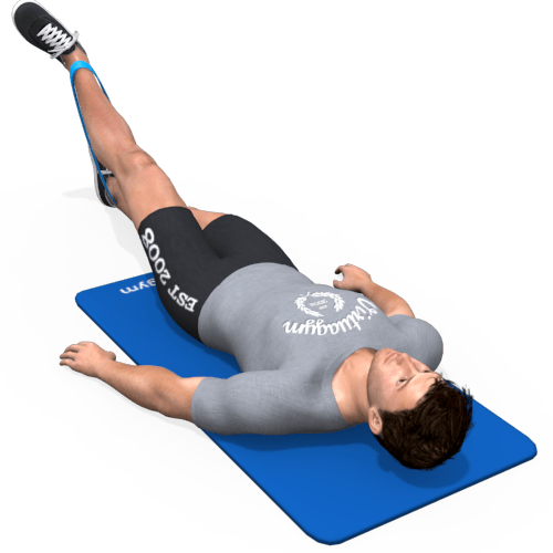 Elastics Leg Raise Exorotation Feet (alternating) Video Exercise Guide