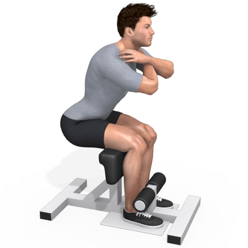 Sissy Squat Video Exercise Guide