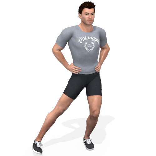 One Leg Squat Leg Sideways Video Exercise Guide