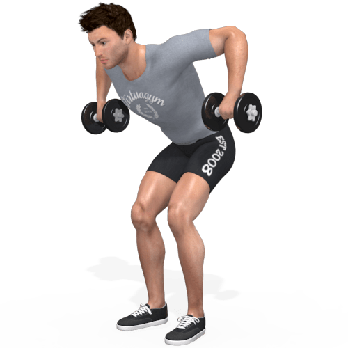 Dumbbells Bent-over Side Row Video Exercise Guide