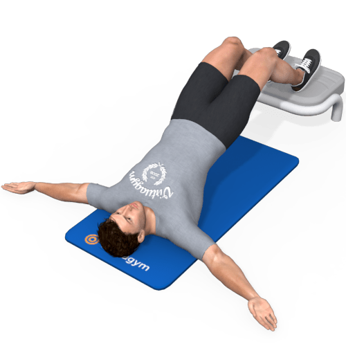 Aerobic Step Hip Bridge Video Exercise Guide